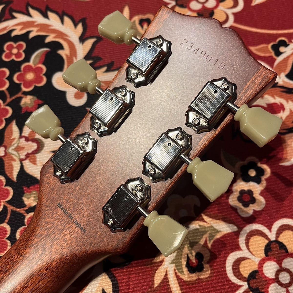 Tokai LS-STD w/BKP（新品/送料無料）【楽器検索デジマート】
