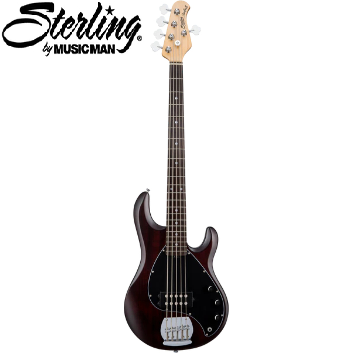 Sterling by MUSIC MAN SUB RAY5-WS-R1 WALNUT SATIN（新品/送料無料）【楽器検索デジマート】