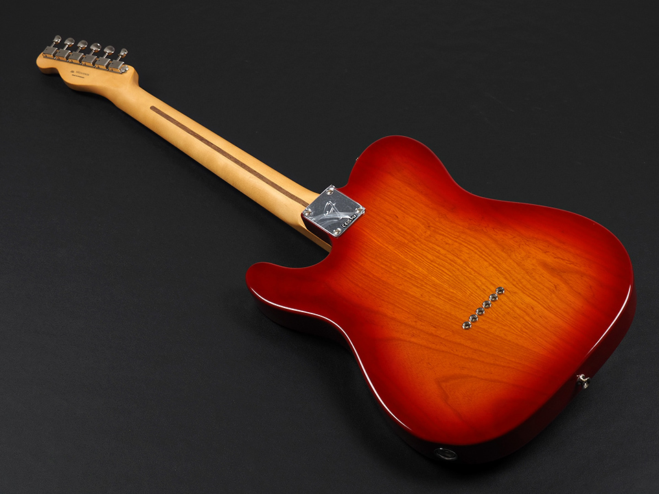 Fender Player II Telecaster Rosewood Fingerboard ~Aged Fender Player II Telecaster Rosewood Fingerboard ~Aged