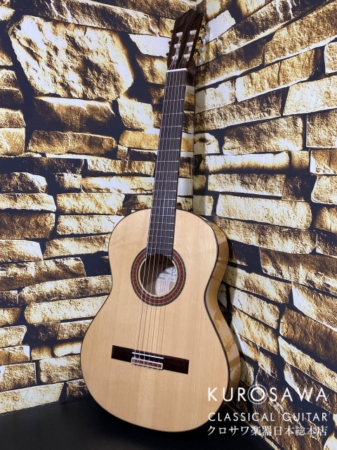 Paco Castillo パコ・カスティージョ 213F 7/8松・シカモア 635mm ショートスケール 【日本総本店2F 在庫品】（新品/送料無料）【楽器検索デジマート】