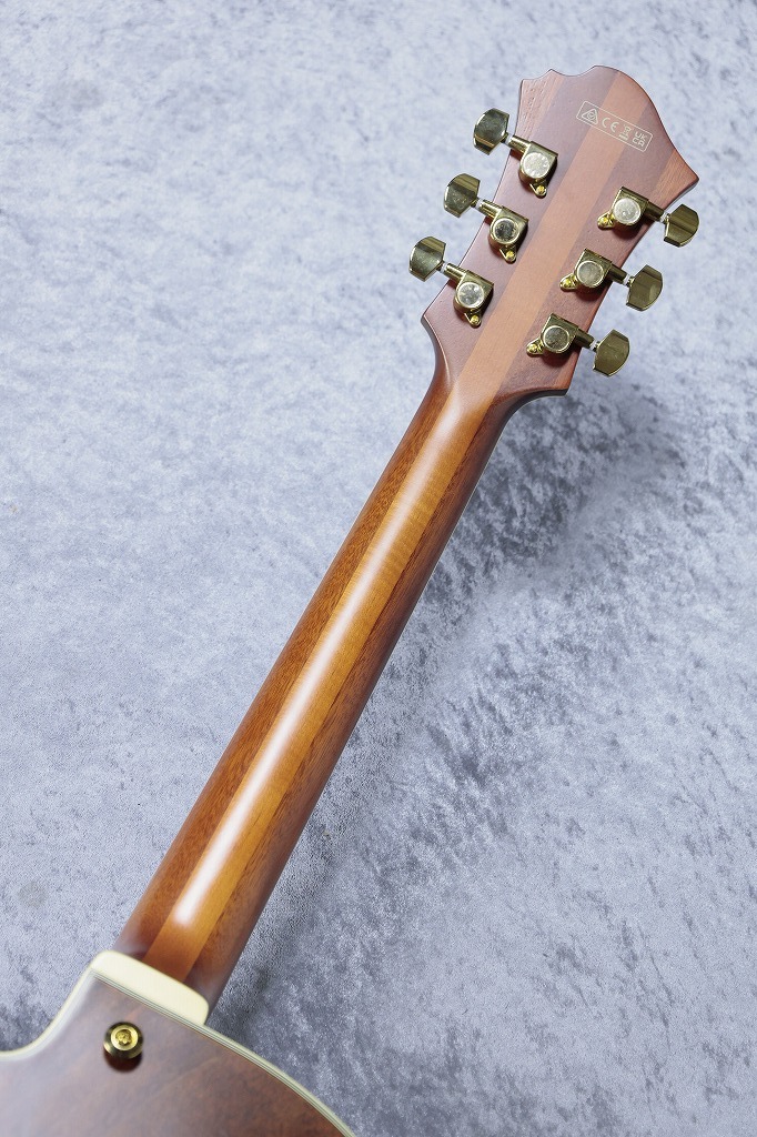 Gibson 【特選中古セール】PM3C 'Pat MethenySig -Natural Amber Low Gloss- 【2025 ...