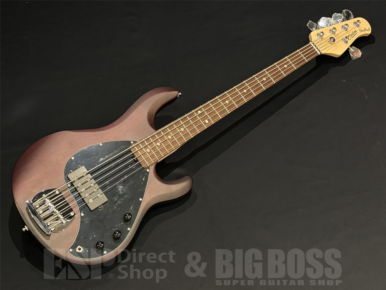 Sterling by MUSIC MAN SUB STINGRAY RAY5 / Walnut Satin（新品/送料無料）【楽器検索デジマート】