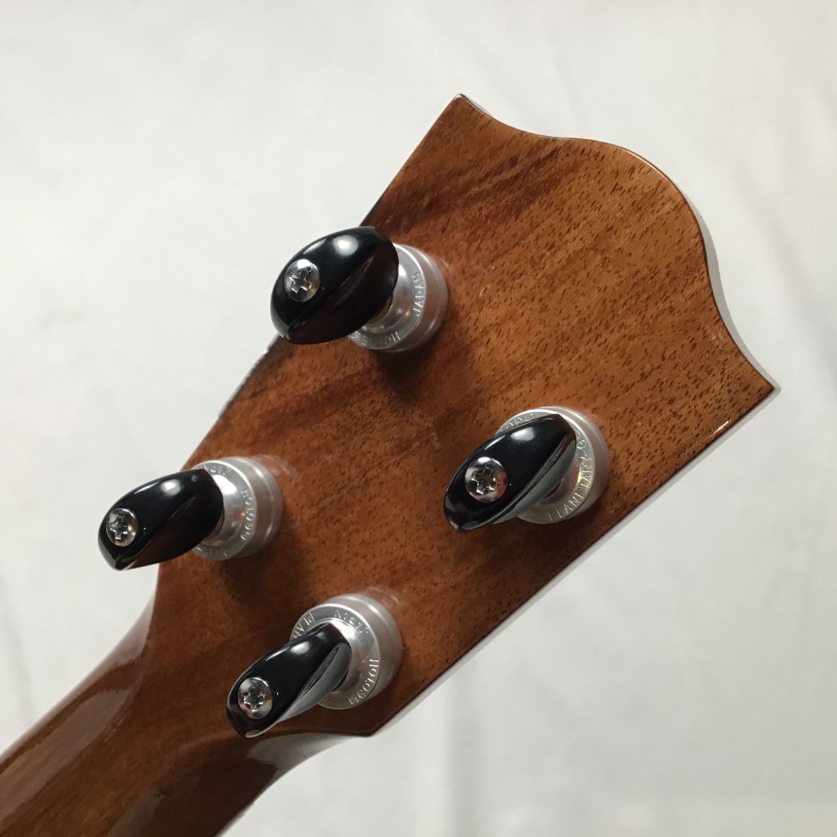 COTONE CS555SL（新品/送料無料）【楽器検索デジマート】