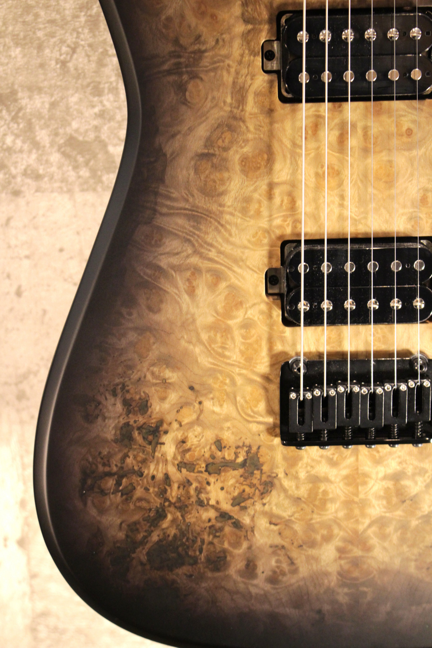 Red House 【倍音豊か】【良サスティーン】CTM Seeker S / HH / 5A Birl Maple -Trans Black ...