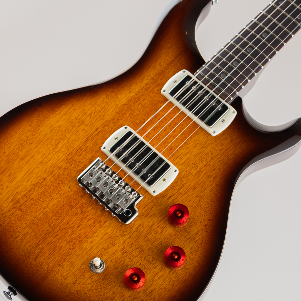 Paul Reed Smith(PRS) SE DGT Standard/McCarty Tobacco Sunburst【2025】S/N ...