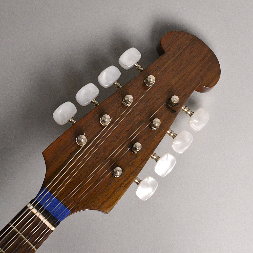 CALACE No.26M マンドリン イタリア手工製（新品/送料無料）【楽器検索デジマート】