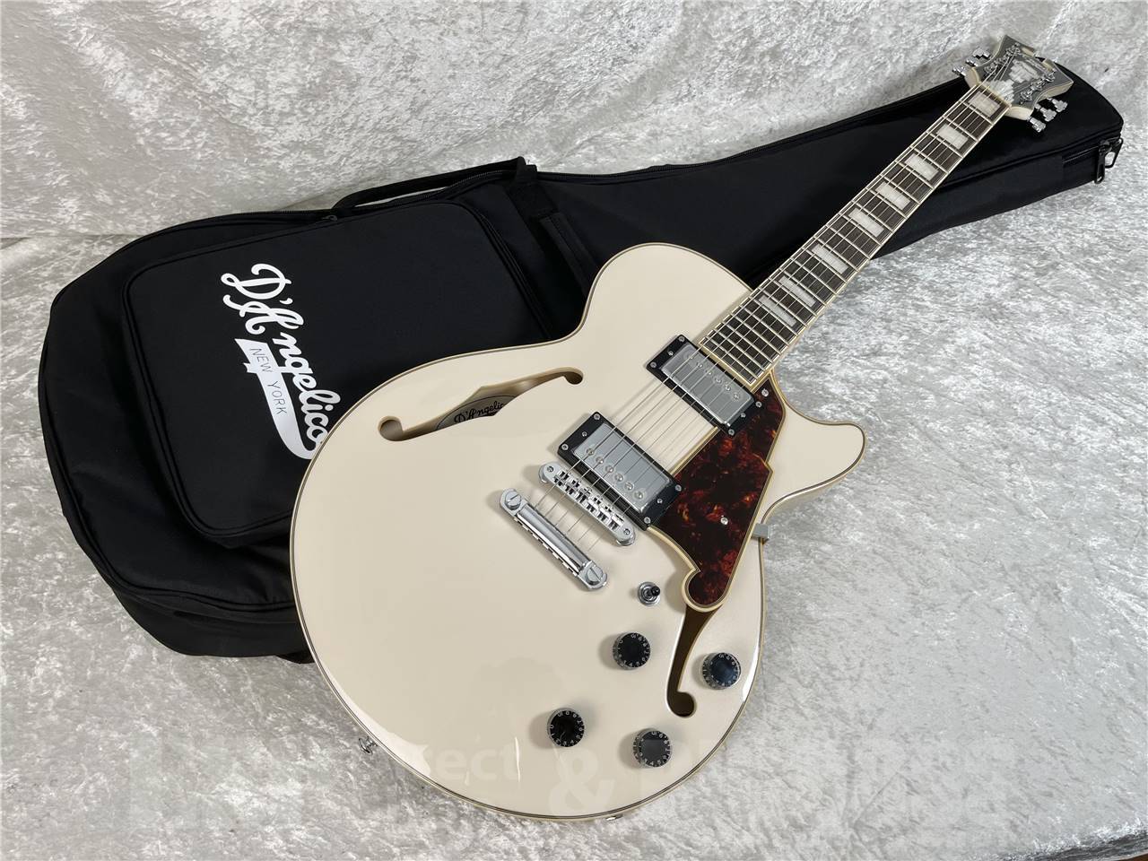 D'Angelico Premier SS (Champagne)（新品特価/送料無料）【楽器検索デジマート】