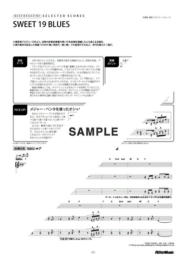 安室 奈美恵 SWEET 19 BLUES（新品/送料無料）【楽器検索デジマート】