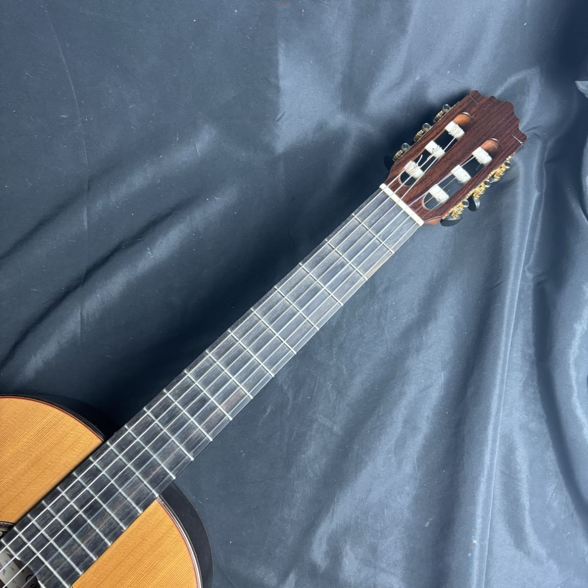 Paco Castillo 240（中古/送料無料）【楽器検索デジマート】