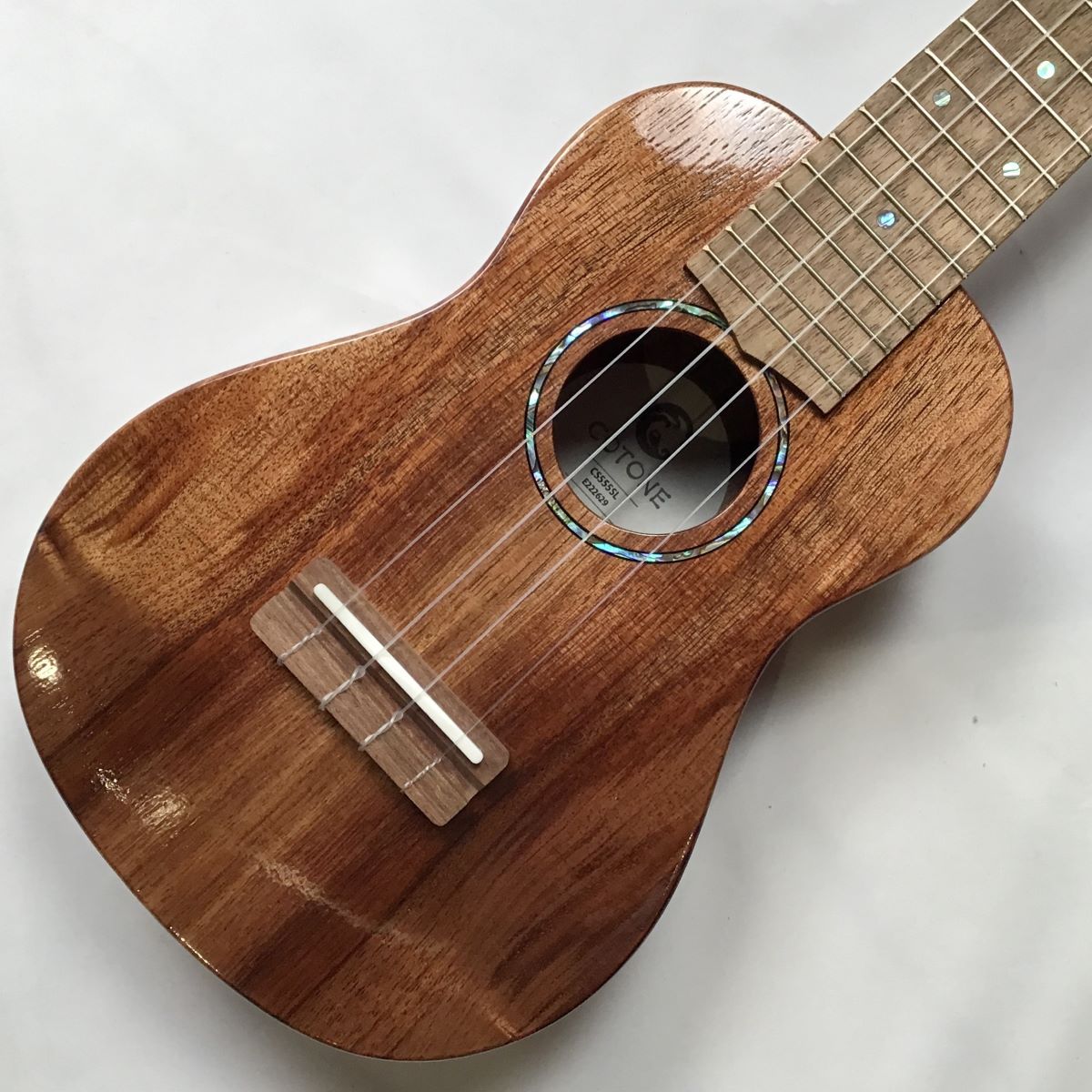 COTONE CS555SL（新品/送料無料）【楽器検索デジマート】