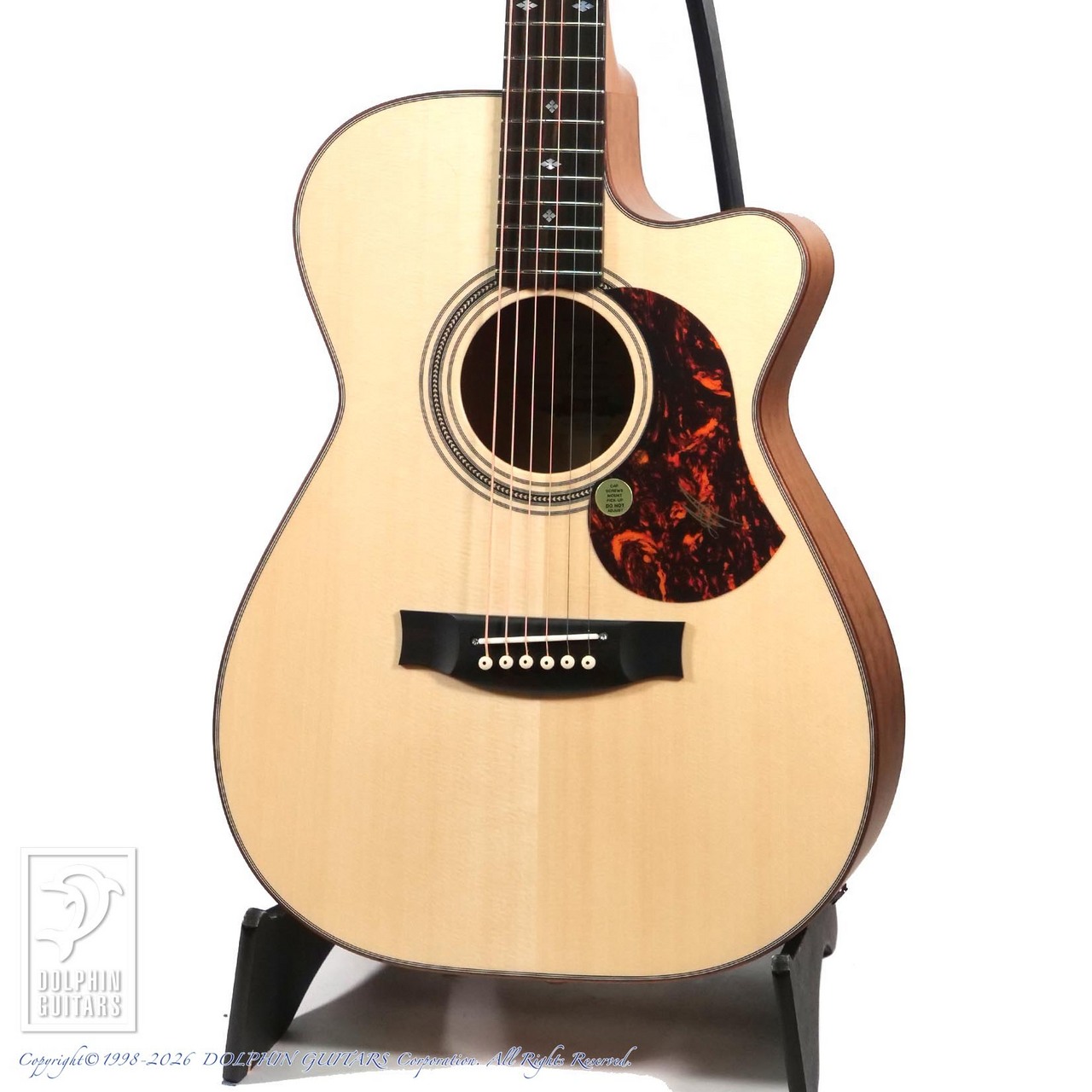 MATON EBG808C Michael Fix（新品）【楽器検索デジマート】