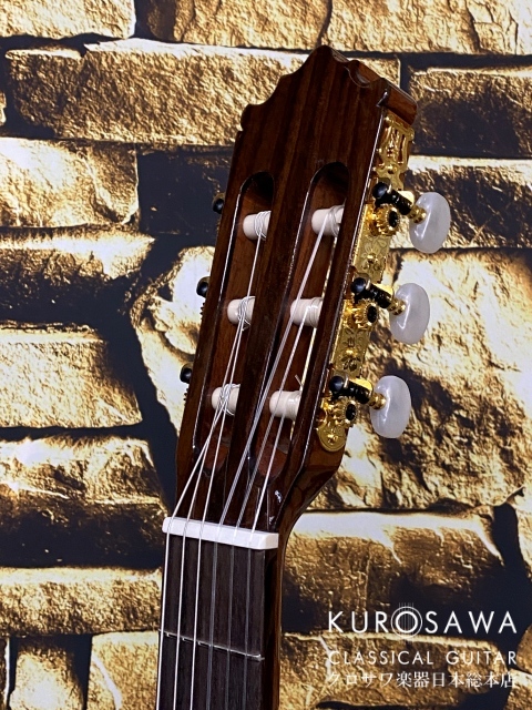 Paco Castillo パコ・カスティージョ 213F 7/8松・シカモア 635mm ショートスケール 【日本総本店2F 在庫品】（新品/送料無料）【楽器検索デジマート】