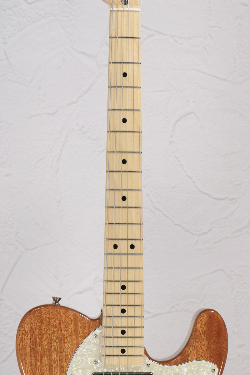 Fender Made in Japan ISHIBASHI FSR Traditional 70s Telecaster Thinline ...