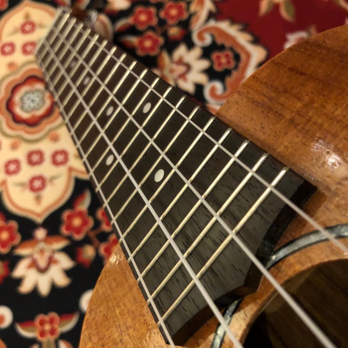 COTONE CS5SL（中古/送料無料）【楽器検索デジマート】