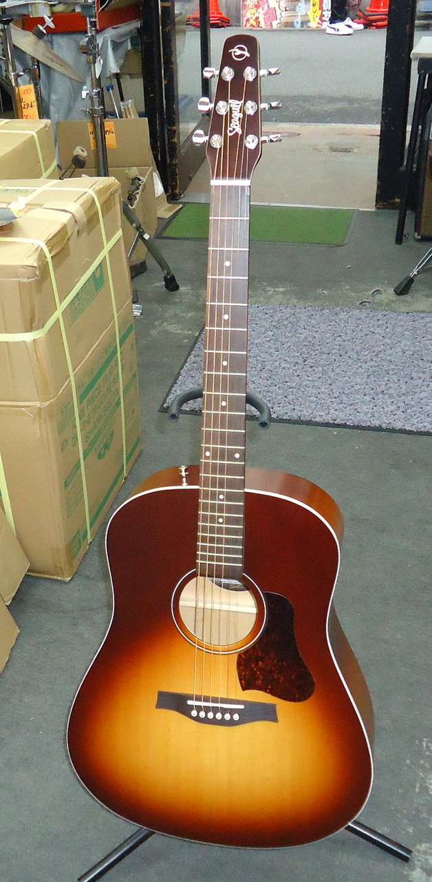 Seagull Entourage Autumn Burst（新品特価）【楽器検索デジマート】