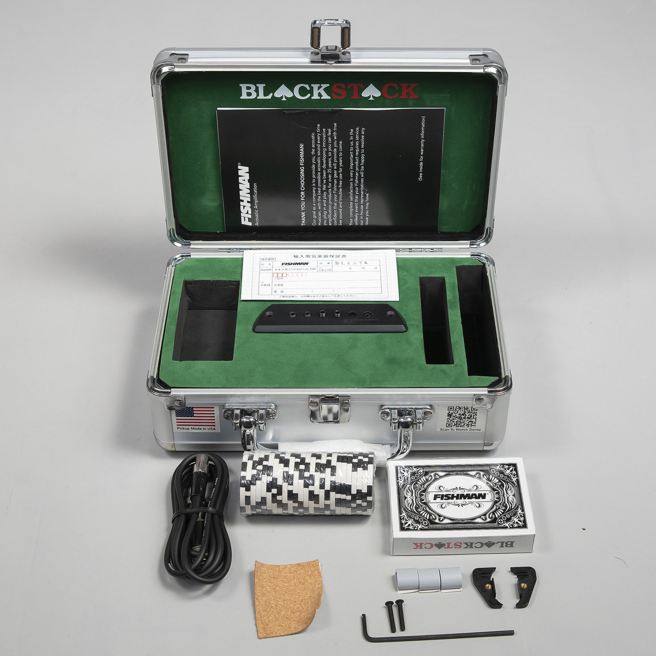 FISHMAN PRO-BLK-STK（新品/送料無料）【楽器検索デジマート】