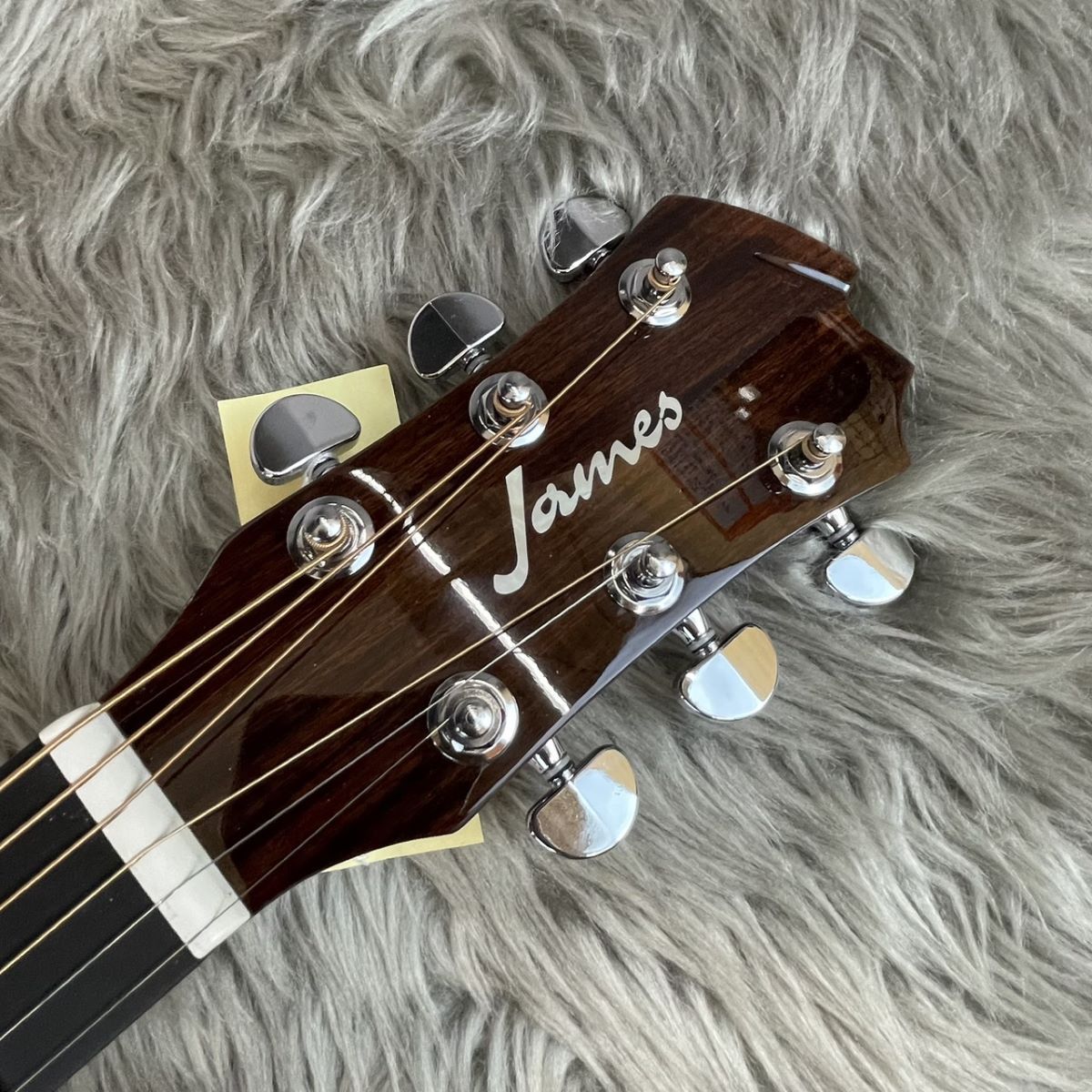 James J-900/L L.R.Baggs PU搭載エレアコ オール単板 ドレッドノートサイズ アコースティックギター（新品/送料無料 ...