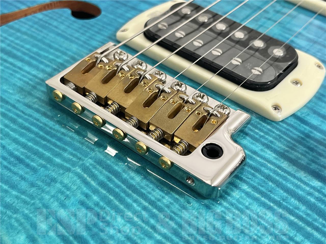 Paul Reed Smith(PRS) SE Custom 24 Semi-Hollow Piezo (Lake Blue) 2025年製 ...