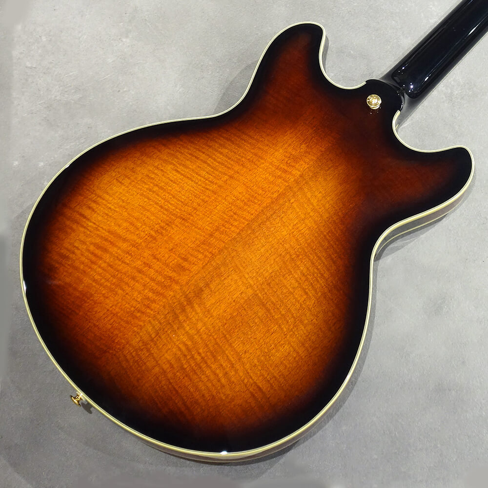 Ibanez SIGNATURE MODEL John Scofield JSM100-VT 【2026 新春セール ～1/12(日)】（新品 ...