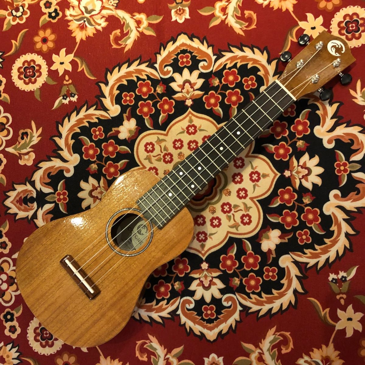 COTONE CS5SL（中古/送料無料）【楽器検索デジマート】