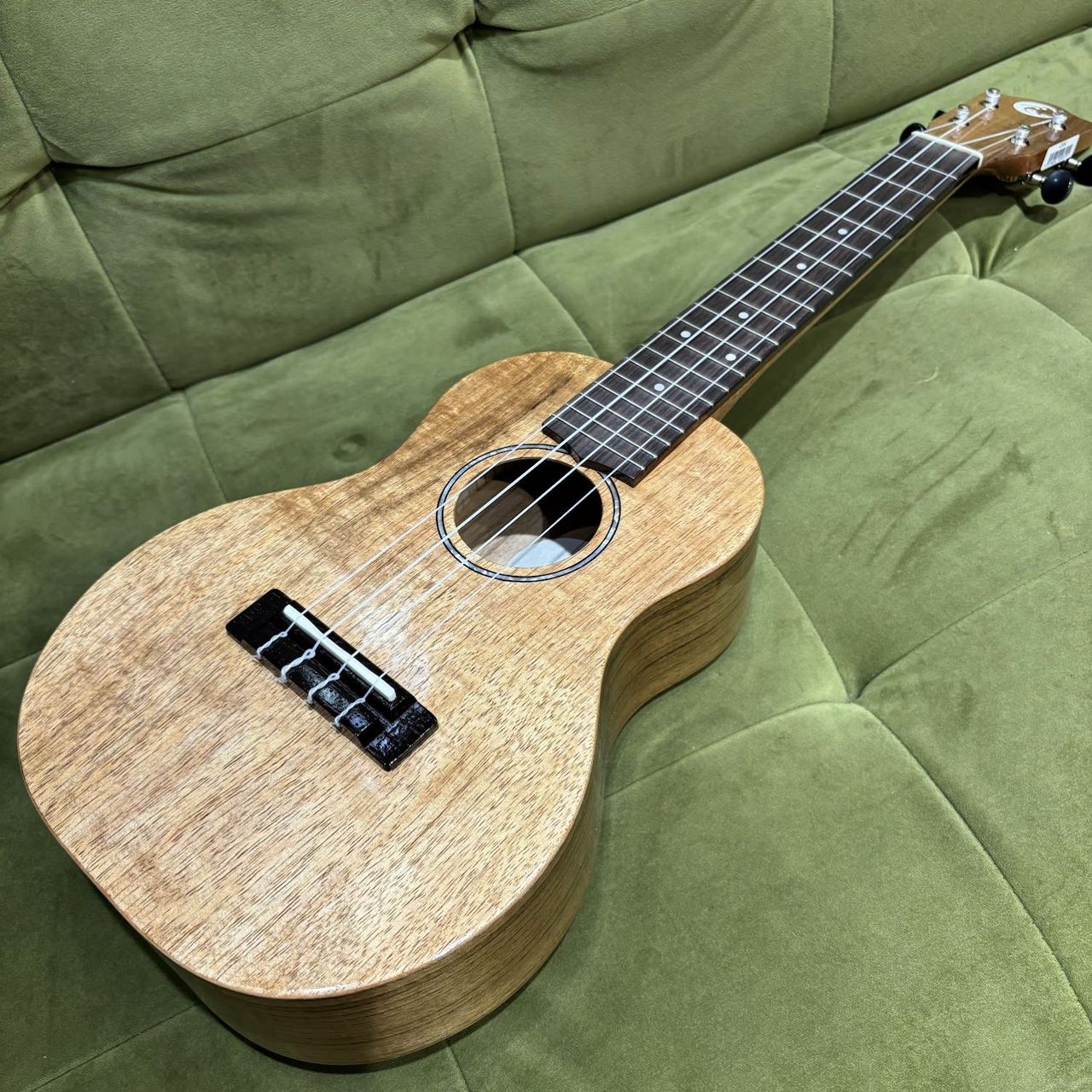 COTONE CS5C NAT コンサートウクレレスタンダードシリーズ 【現物写真】（新品/送料無料）【楽器検索デジマート】
