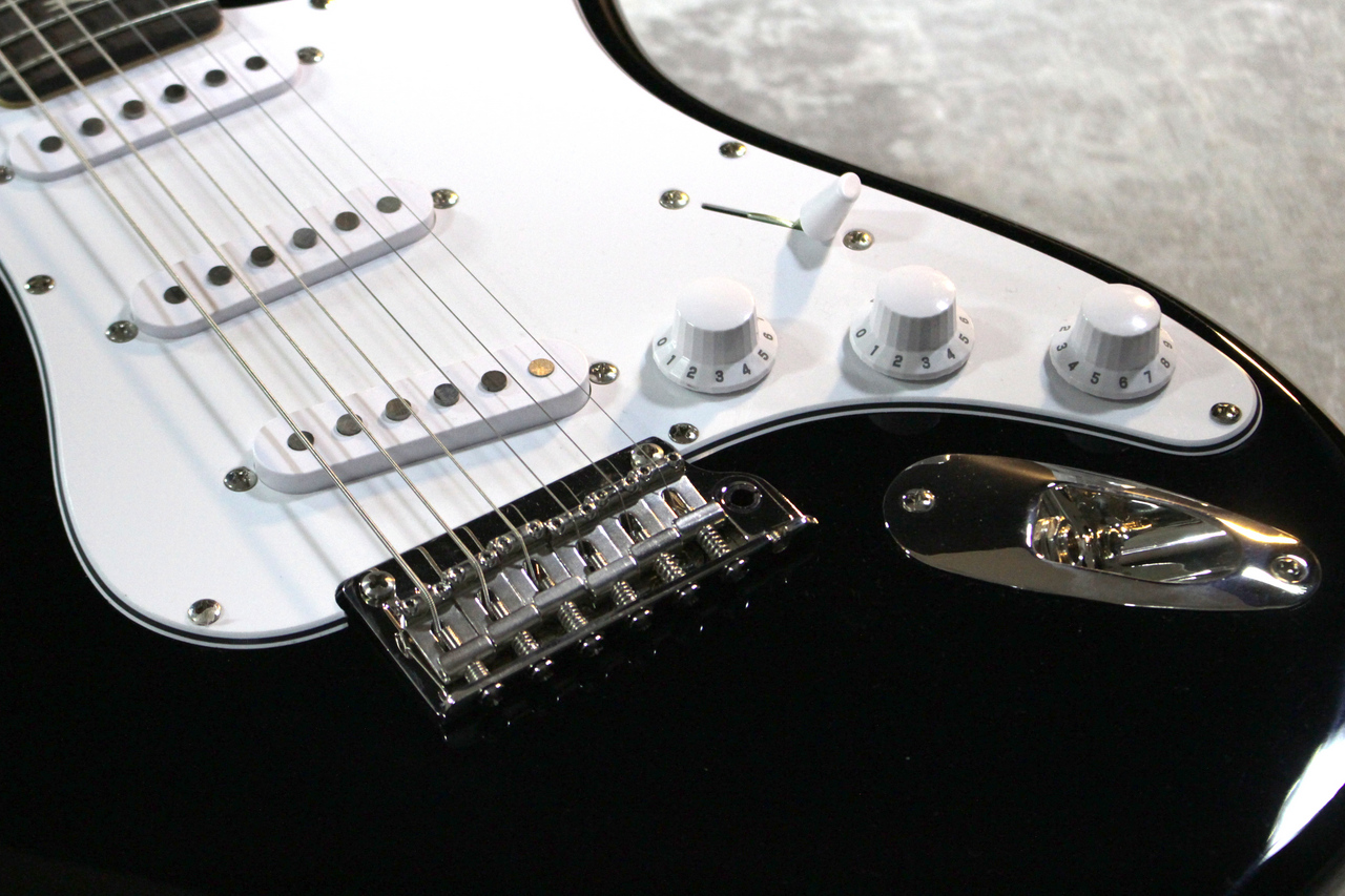 Paul Reed Smith(PRS) 【3.39kg】SE SILVER SKY ROSEWOOD -Piano Black- #CTI ...