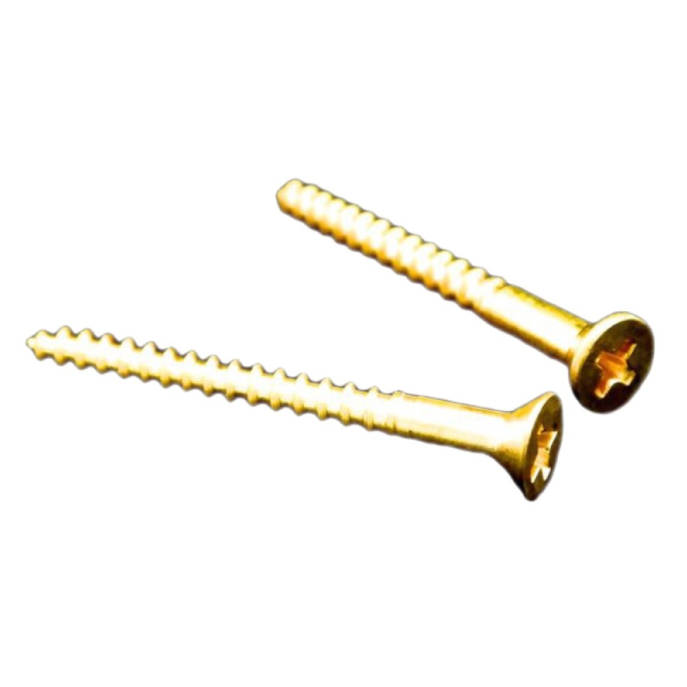 FU-Tone Brass Spring Claw Screws トレモロスプリングホルダースクリュー 2本セット（新品/送料無料）【楽器検索 ...