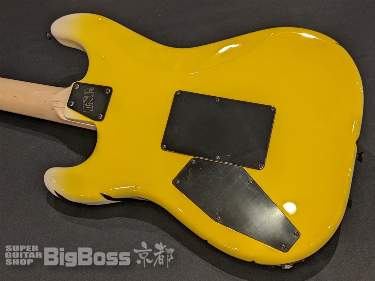 EDWARDS E-YELLOW TIGER / Yellow Tiger Graphic（新品/送料無料）【楽器検索デジマート】