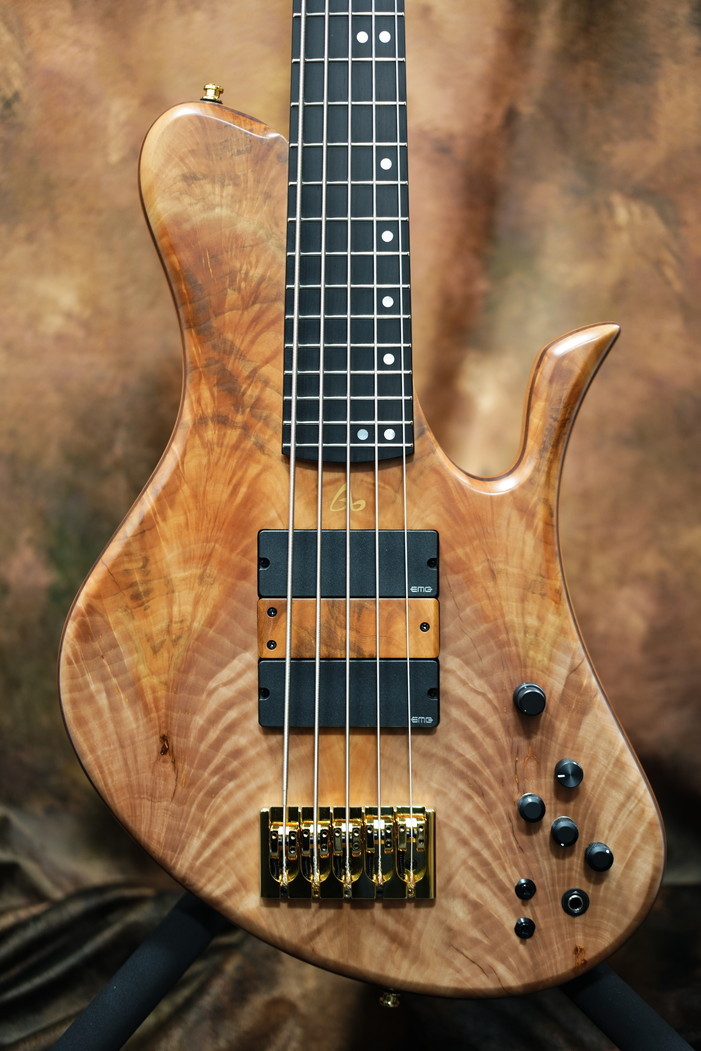 Aquilina DB5 Richard Bona Chestnut（新品/送料無料）【楽器検索デジマート】