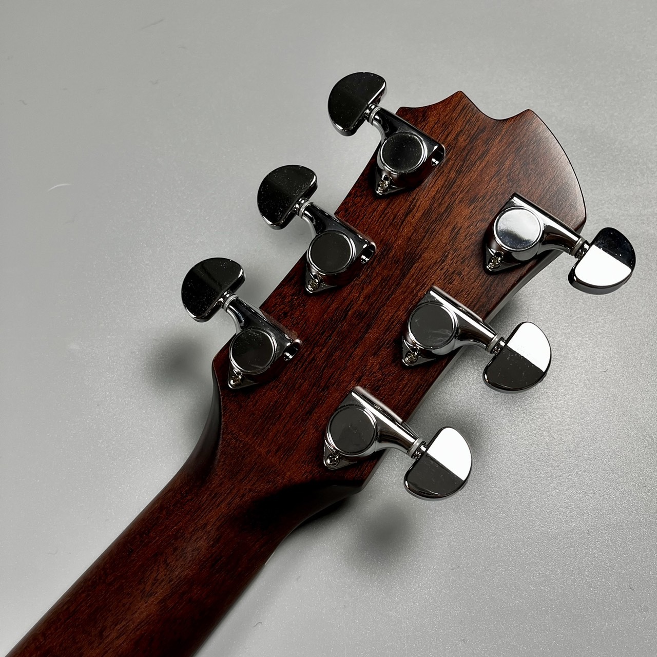 James J-900/C Natural L.R.Baggs PU搭載エレアコ オール単板 オーディトリアムサイズ アコースティックギター ...