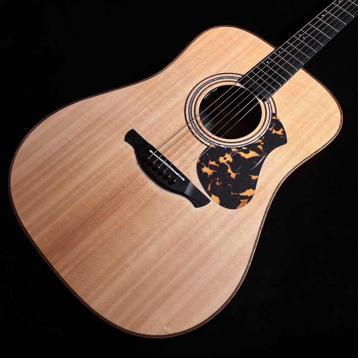 James 【エレアコ/L.R.Baggs】 J-900/L 〈現物写真/迅速発送〉（新品/送料無料）【楽器検索デジマート】