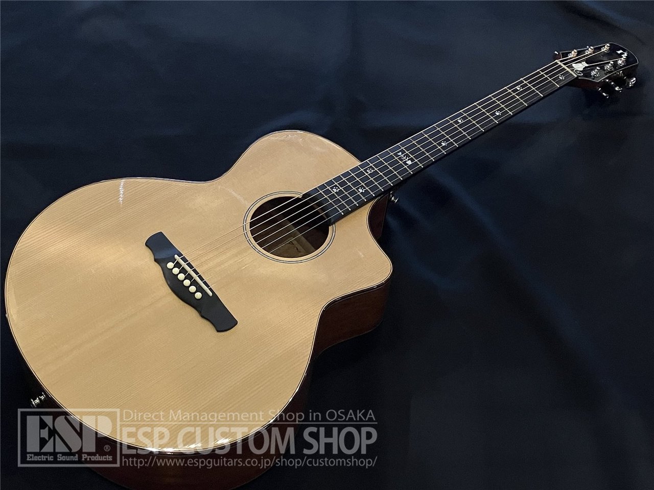 NATASHA CAT（新品/送料無料）【楽器検索デジマート】