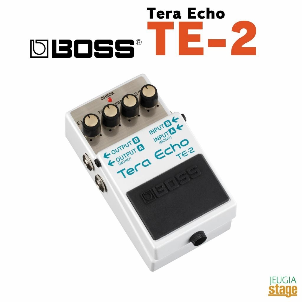 BOSS Tera Echo TE-2（新品）【楽器検索デジマート】
