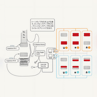 Caparison TAT II-CL Custom Line Iceberg [Limited Edition 30th ...