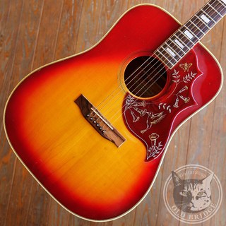 アコースティックギター、Gibson、Humming Birdの検索結果【楽器 アコースティックギター、Gibson、Humming Birdの検索結果【楽器